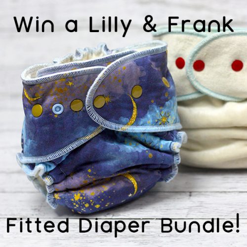 Lilly & Frank Hybrid Fitted and OBV Fitted Diaper Review | This West ...