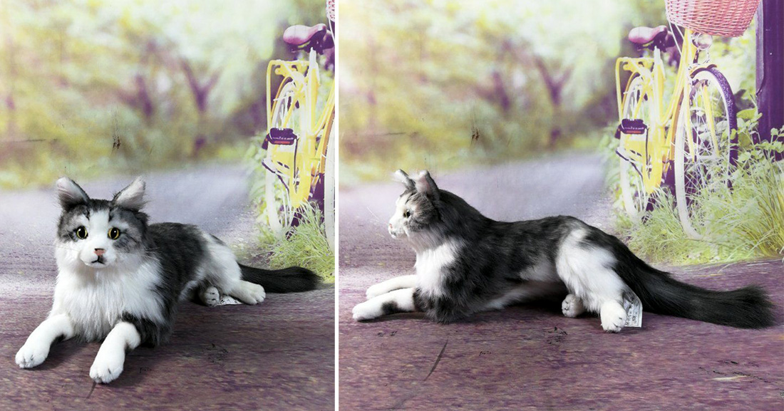 A Petsies Custom Pet Replica Brings Back Memories of My Fur Baby | This ...